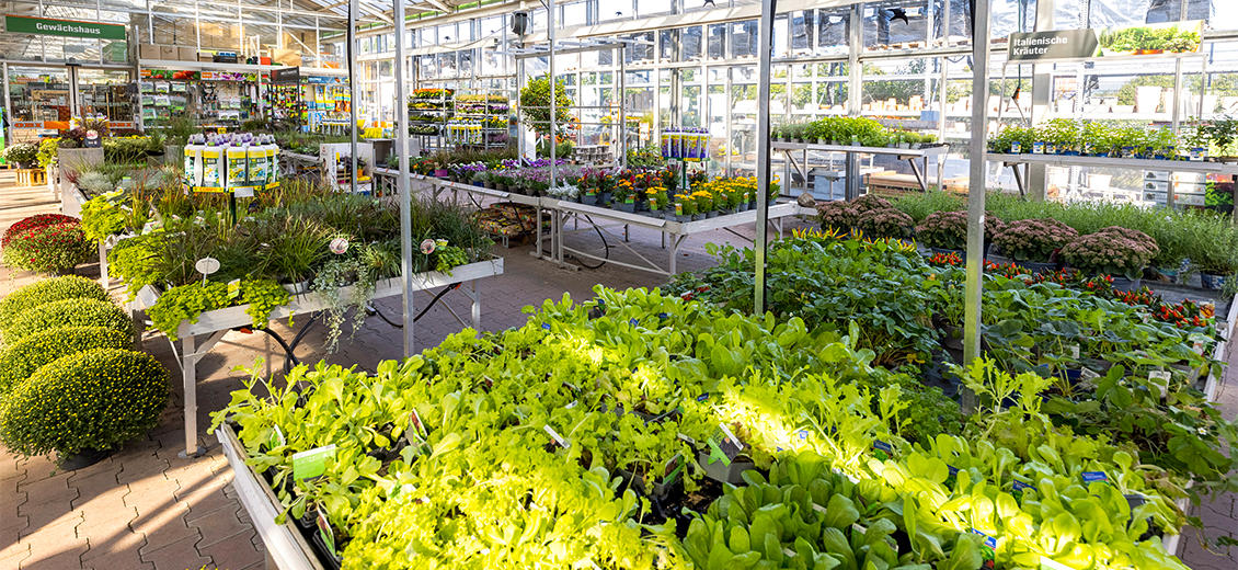 Dein OBI Markt Mayen, Betzinger Landstraße 1